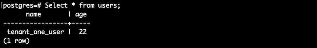 Your Guide To Schema-based, Multi-Tenant Systems and PostgreSQL Implementation | HackerNoon