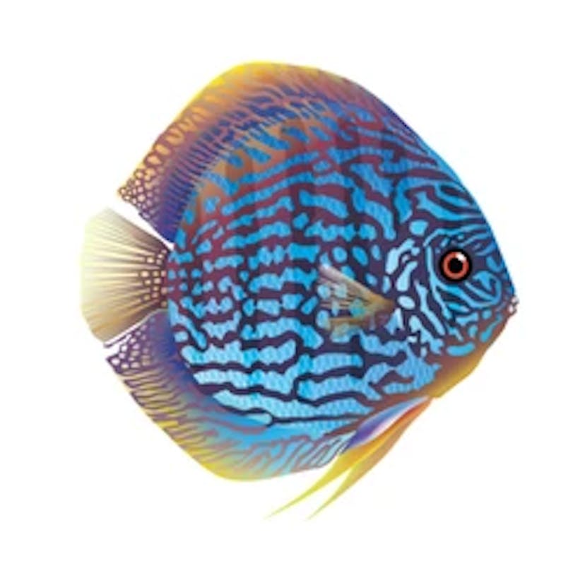 The Right Way to Utilize Webpack for Bundling a HTML Page With CSS and ...