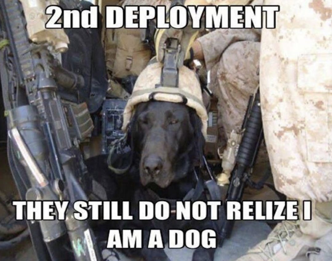 What Do You Know About Document-Driven Development? | HackerNoon