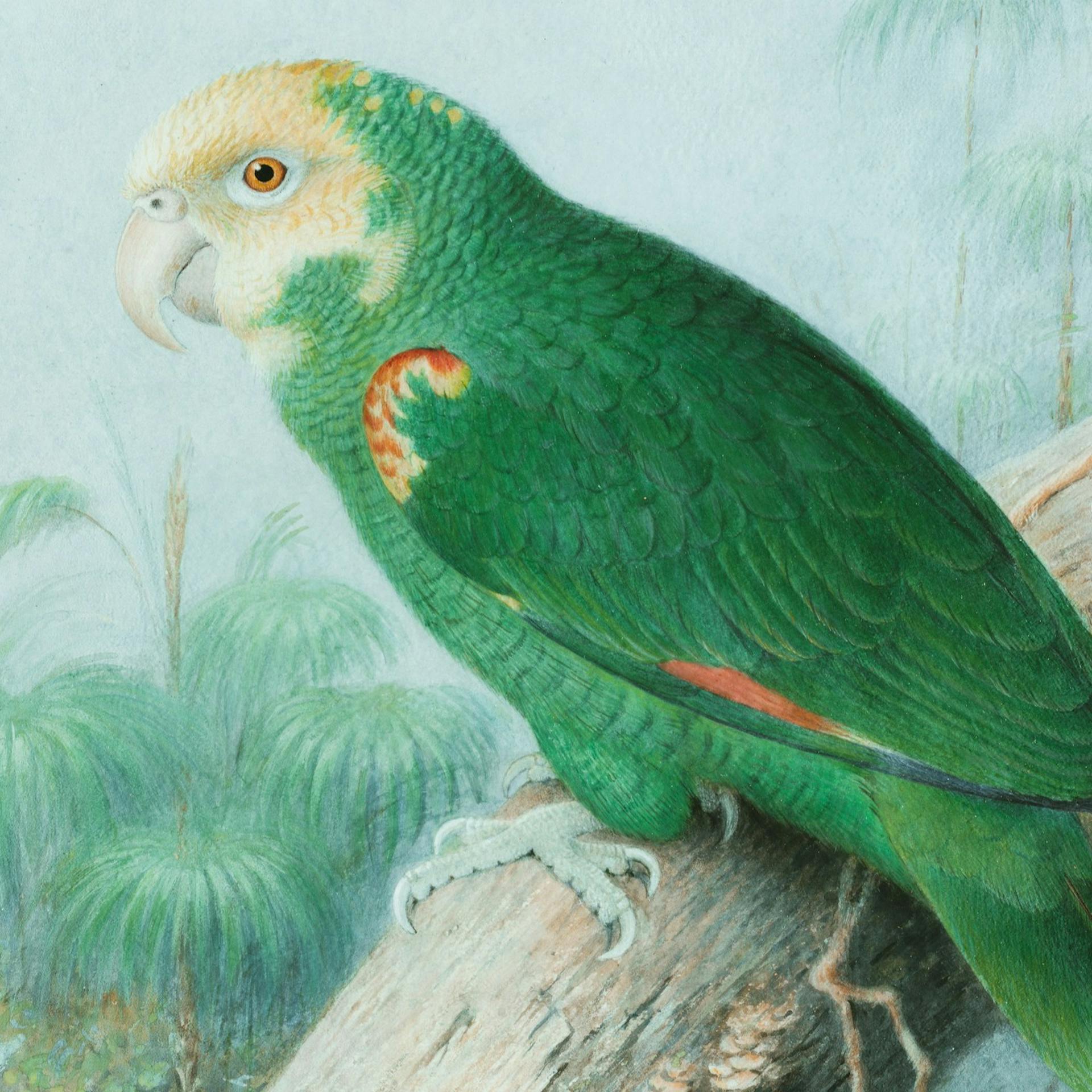 Will Artificial Intelligence Take Over Humans? | HackerNoon