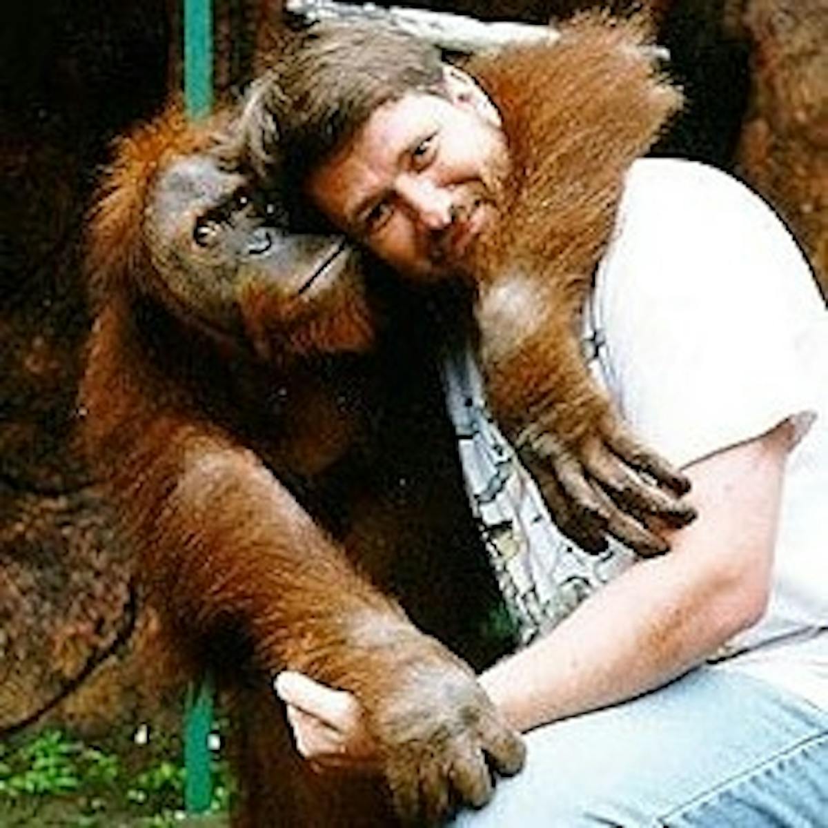 Why Flutter Uses Dart | HackerNoon