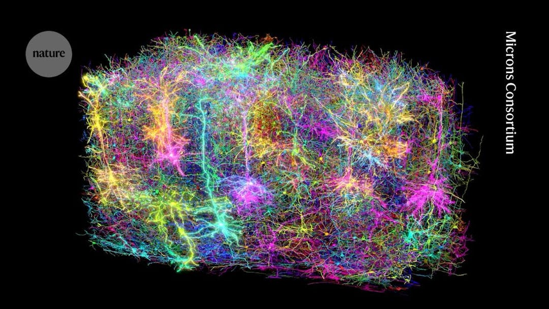 NIH BRAIN Initiative: Connectome Science Represents a False Mind Map ...