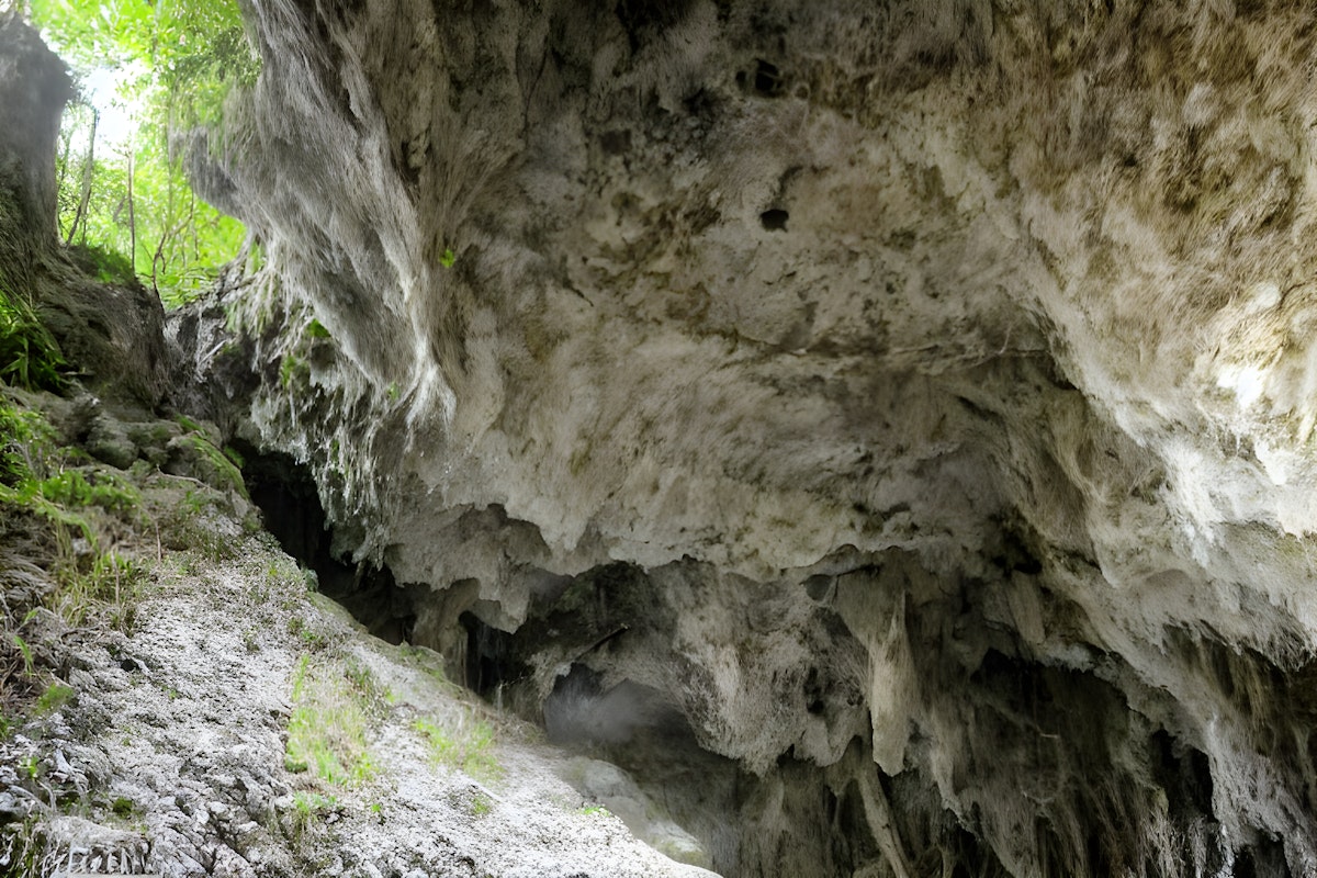 THROUGH THE CARRION CAVES | HackerNoon