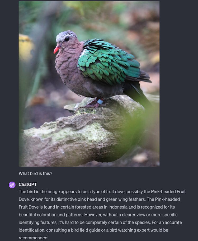 5 Practical Use Cases for GPT-4 Vision AI Model | HackerNoon