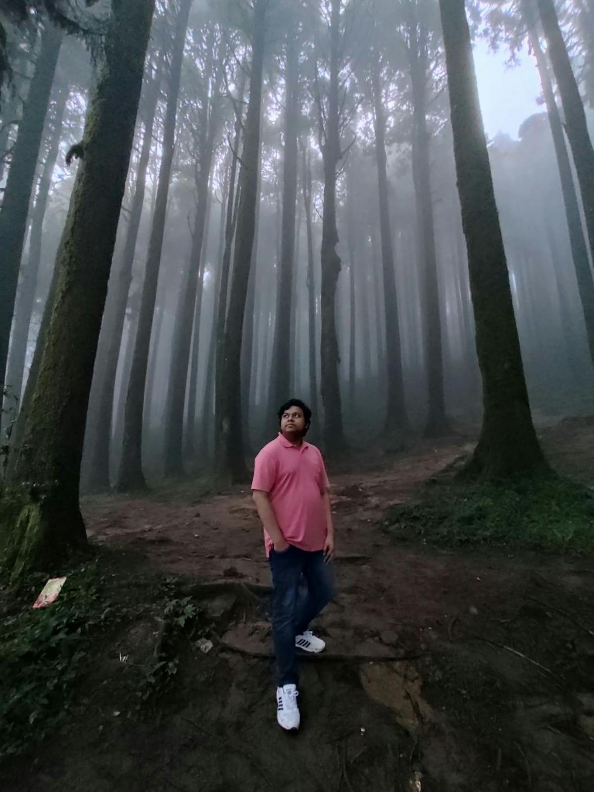 Top 6 Code Playgrounds That Every Web Developer Should Check Out | HackerNoon