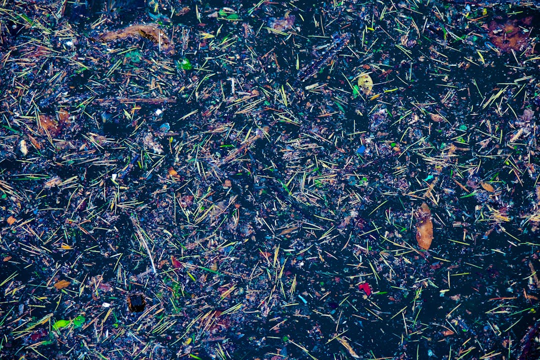 The “Connection Not Private” Warning Explained | HackerNoon