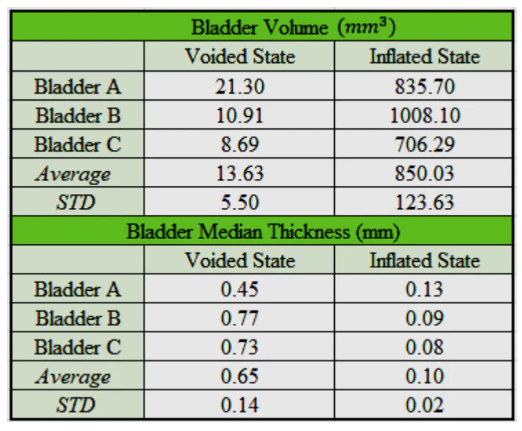 Micro-CT Scans Reveal the Bladder Isn’t Just a Simple Balloon | HackerNoon