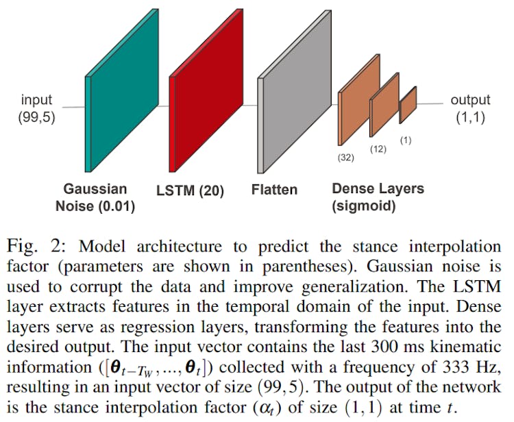 Weight Distribution Estimation in Lower-Limb Exoskeletons via Deep ...