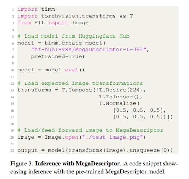 WildlifeDatasets: an Open-source Toolkit for Animal Re-identification ...