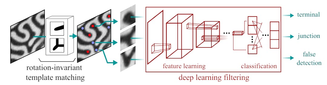 Machine Learning Enhanced Characterization of Labyrinthine Structures in Bi-doped Films | HackerNoon