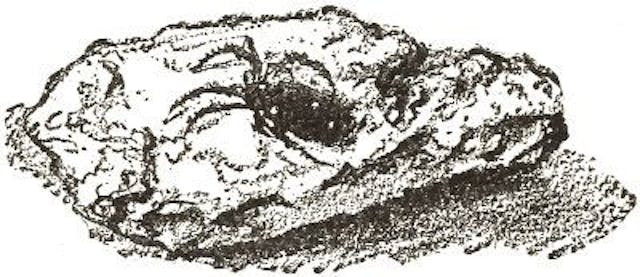 THE CLOTHO SPIDER | HackerNoon