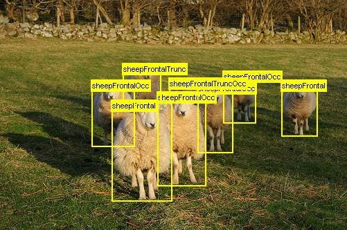 20 Best Pytorch Datasets For Building Deep Learning Models Hackernoon