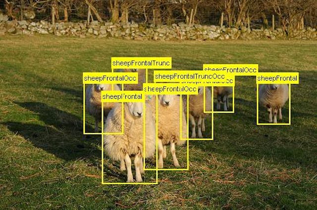 20 Best Pytorch Datasets For Building Deep Learning Models Hackernoon