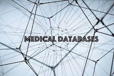 Types Of Medical Databases And Their Benefits For Humanity | HackerNoon