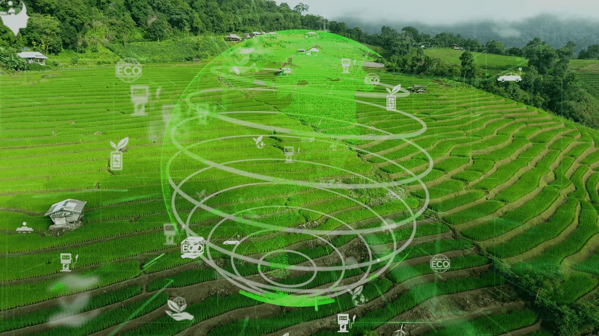 Digital Twins: Unlocking the Future of IoT and Beyond | HackerNoon