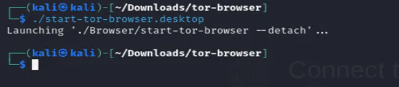 How to Install Tor Browser on Kali Linux and Avoid 'Download Error 404 ...
