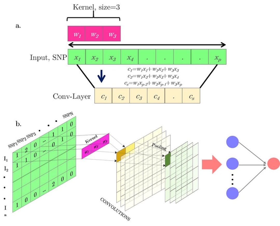 Neural Network Layers All You Need Is Inside Comprehensive Overview Hackernoon 
