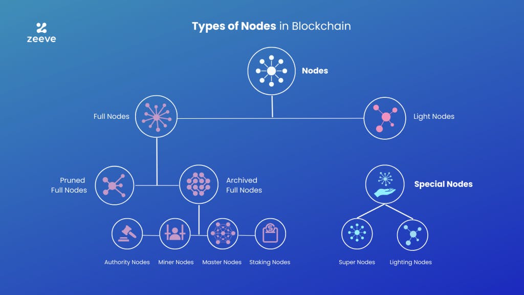Ultimate Blockchain Nodes Guide: What Is It and How Does It Work? | HackerNoon