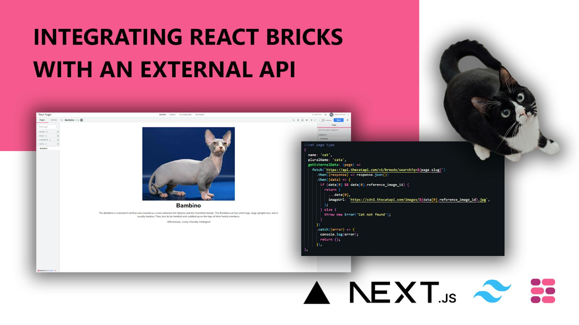 Integrating React Bricks With an External API | HackerNoon