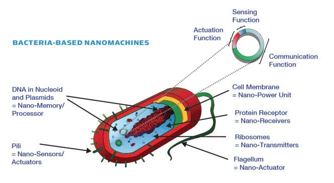 WTF is Internet Of Bio Nano Things (IoBNT) and How Secure Is It ...