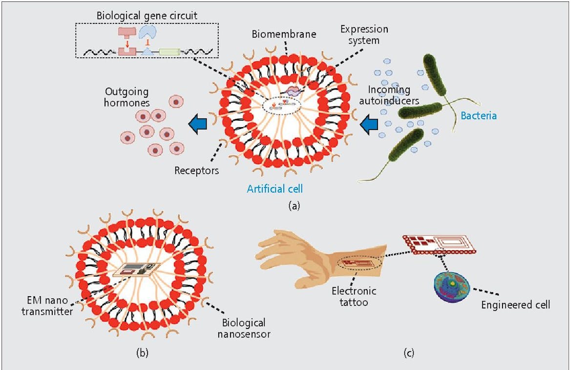 WTF is Internet Of Bio Nano Things (IoBNT) and How Secure Is It ...