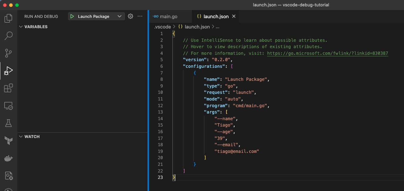 Golang: Debugging CLI Applications in VSCode | HackerNoon