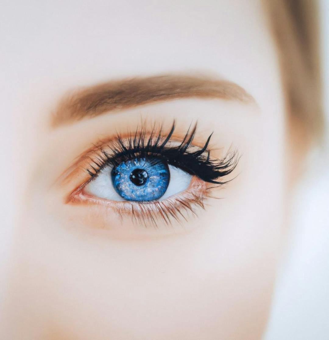 Multiclass Classification with Keras | HackerNoon