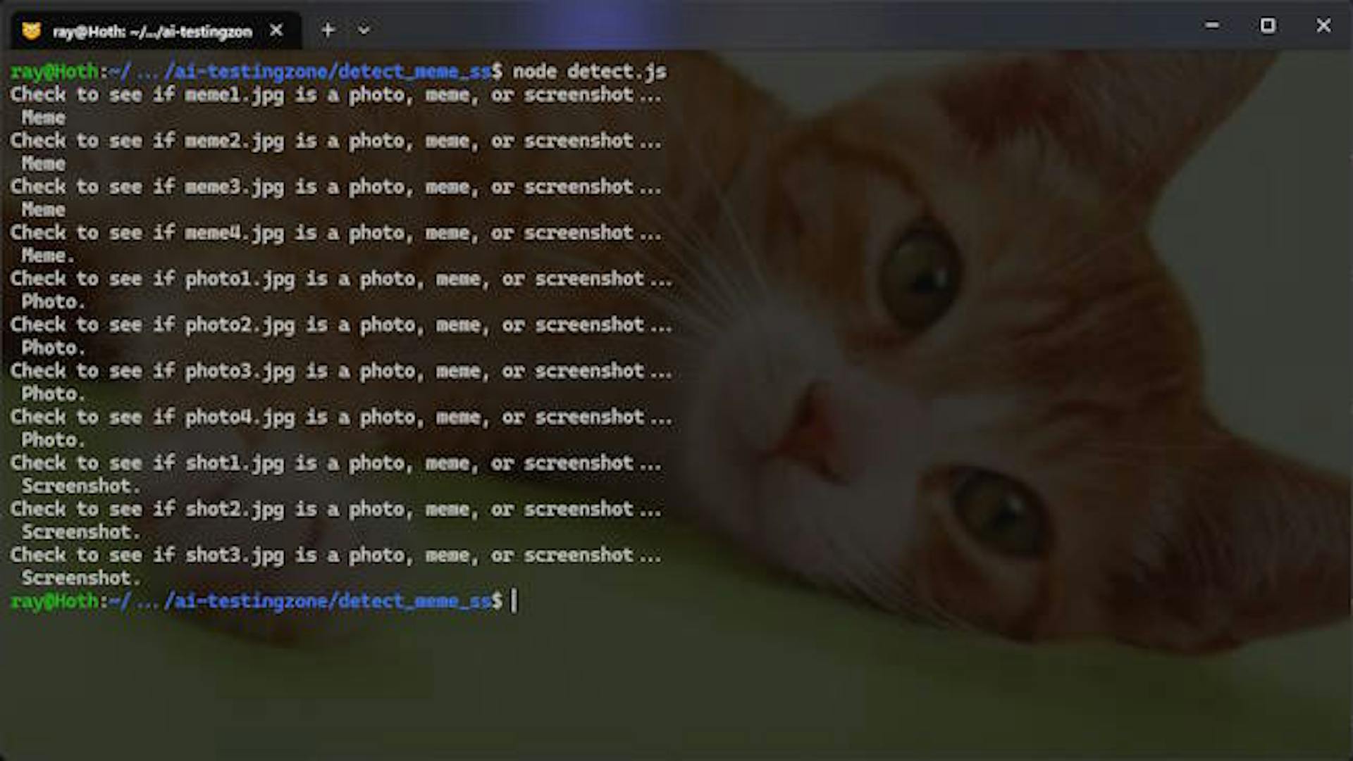 How to Use GenAI to Classify an Image as a Photo, Screenshot, or Meme ...