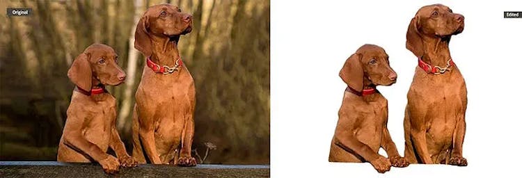 Getting Started with the Adobe Photoshop APIs | HackerNoon