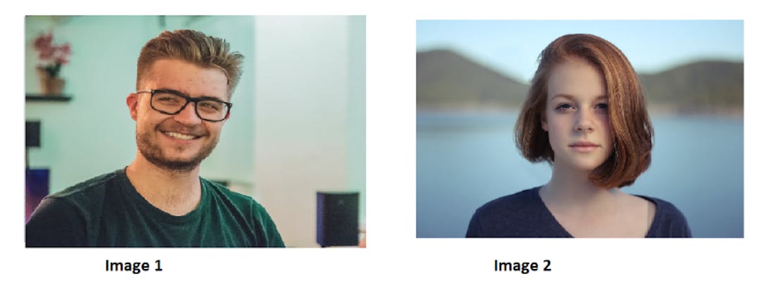 The Intuition Behind the “LIME” Concept in AI & ML | HackerNoon